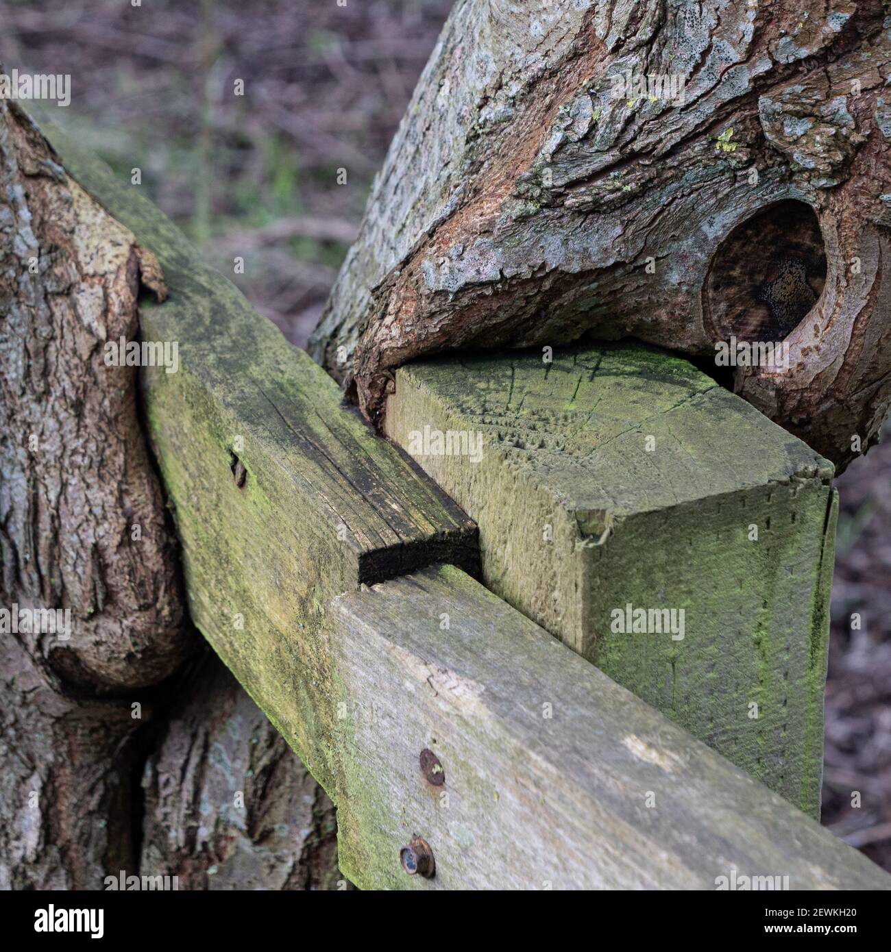 Moulding fence hi-res stock photography and images - Alamy