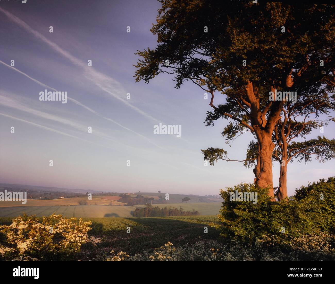 Rural landscape from the from the Bluestone Heath road near Louth ...