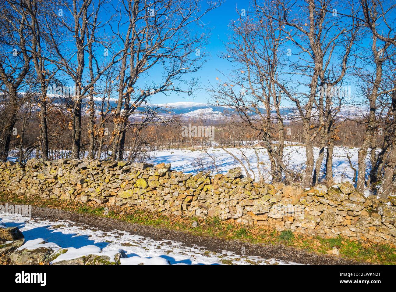 El cuadron hi-res stock photography and images - Alamy