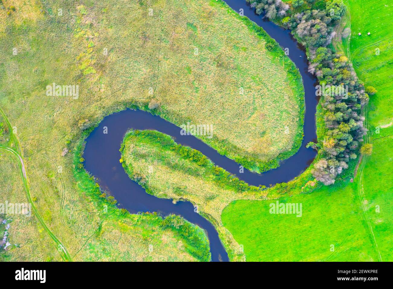 Aerial view over mangrove forest hi-res stock photography and images ...