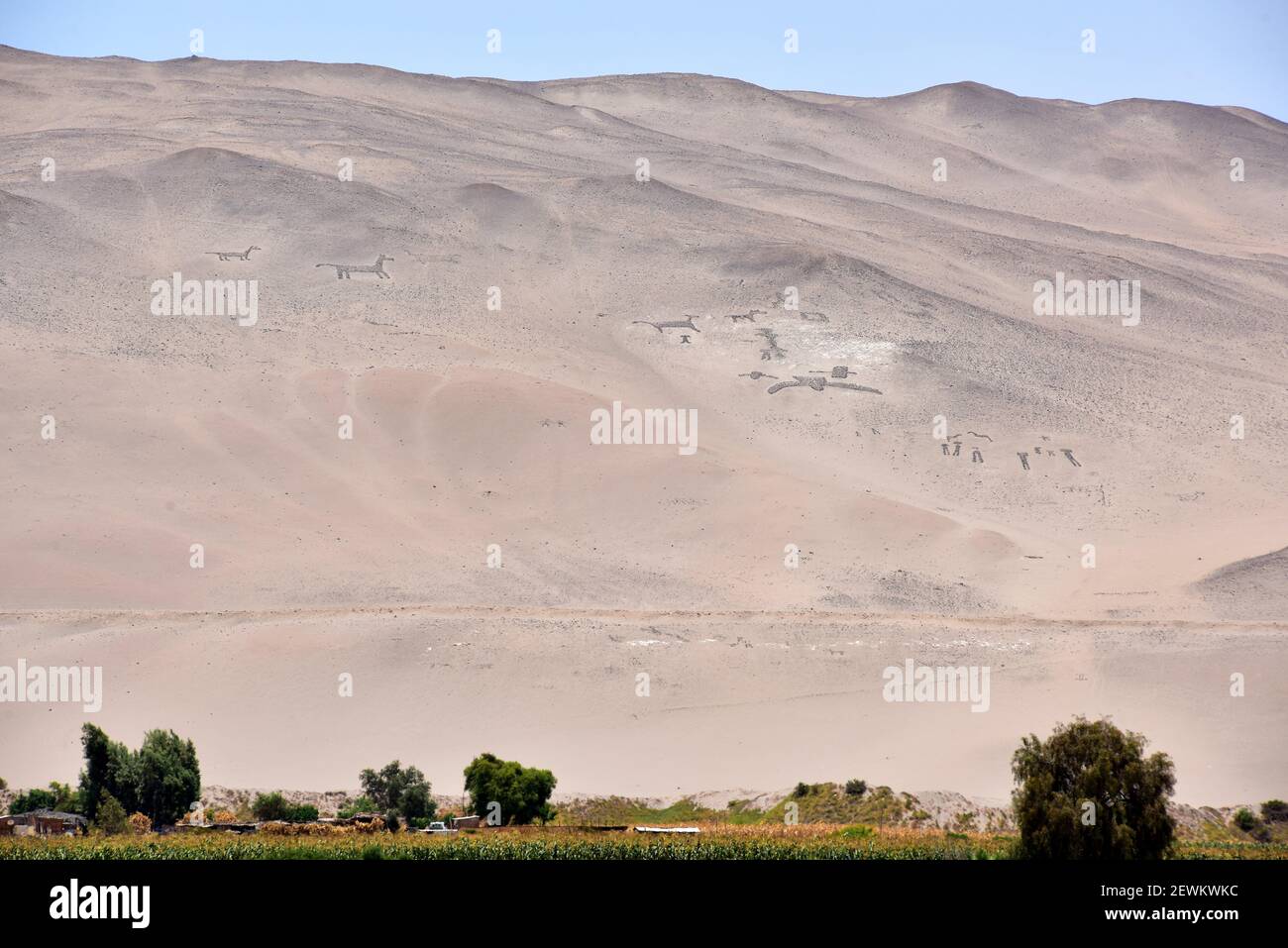 Positive figure hi-res stock photography and images - Alamy