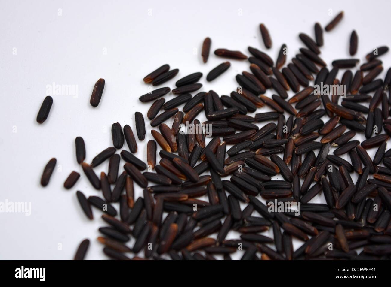 Wild unwanted handsome black rice raised on a white background Stock ...