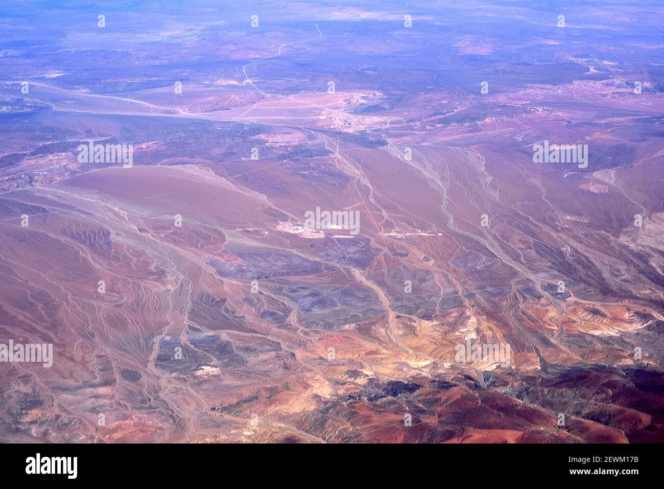 Birds of the desert hi-res stock photography and images - Alamy