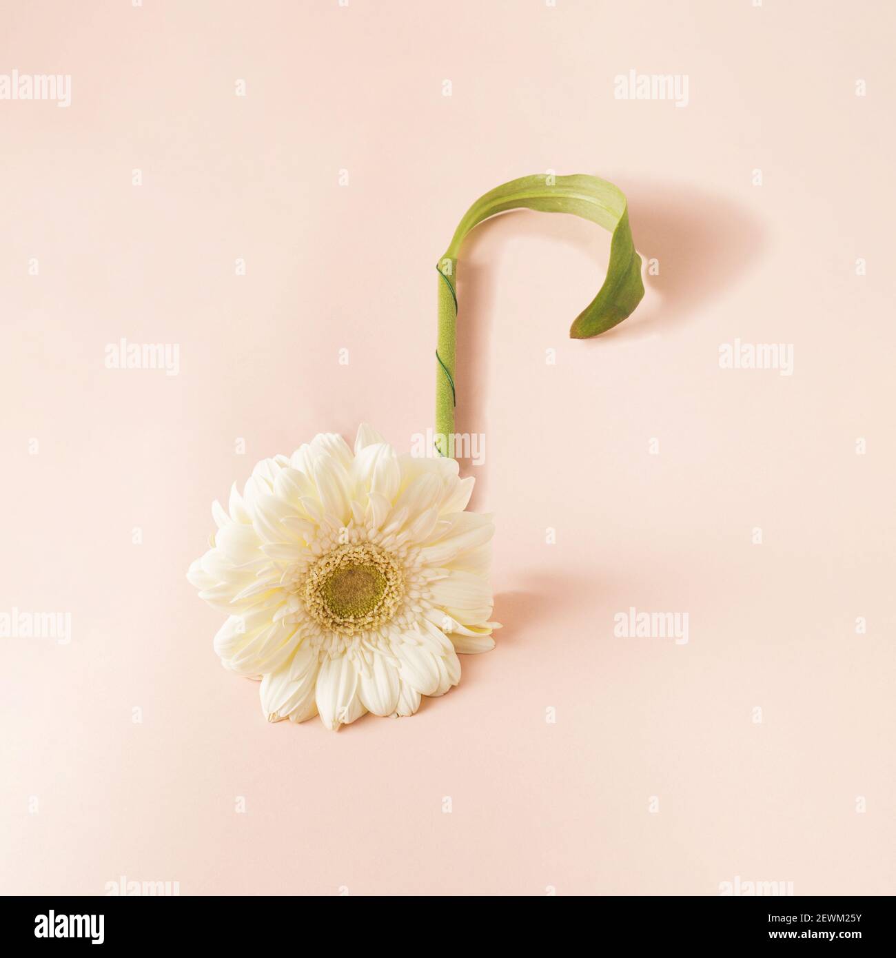 Musical note flower hi-res stock photography and images - Alamy
