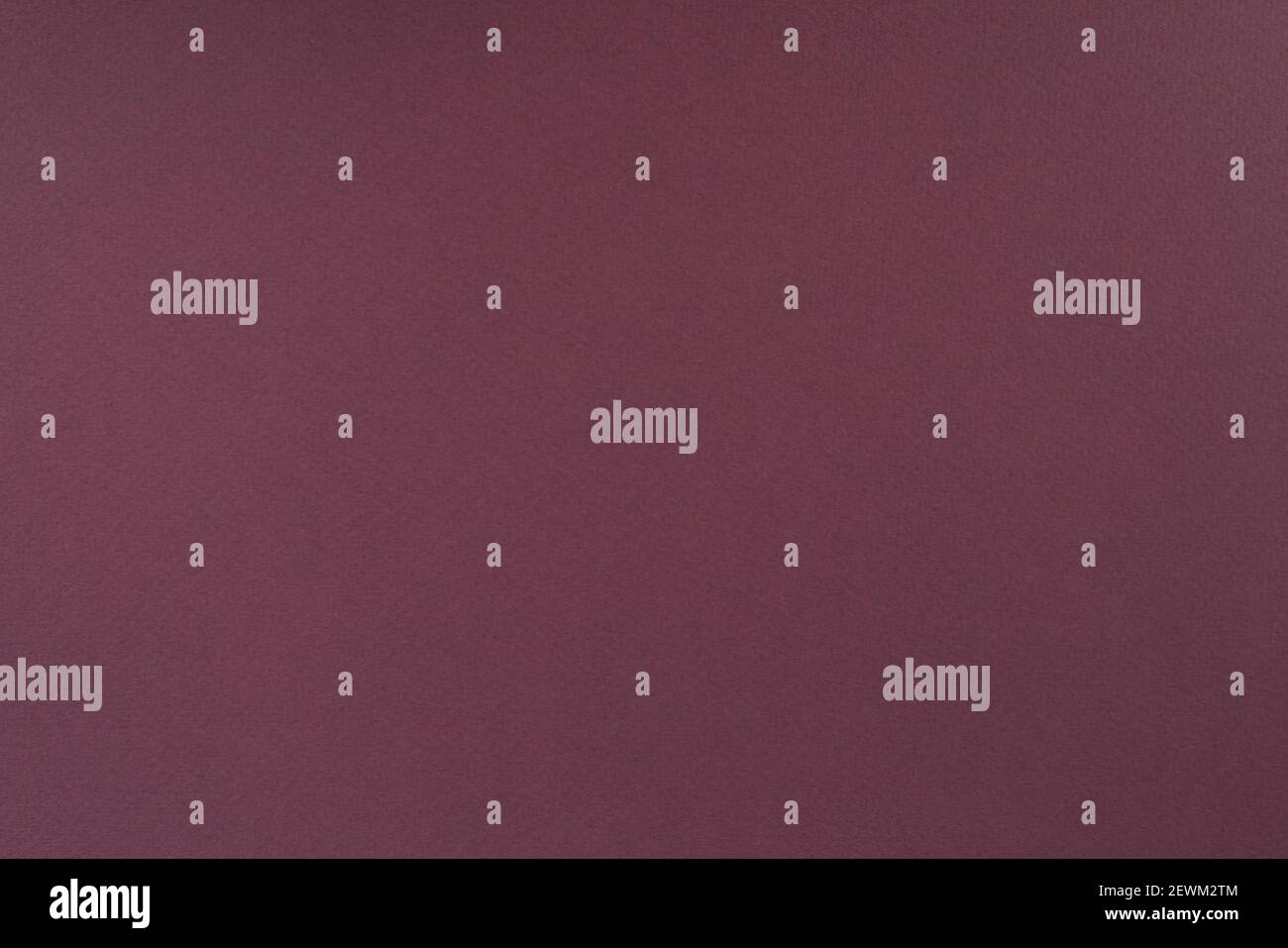 Violet paper background. Plum violet colour paper texture. Matte ...
