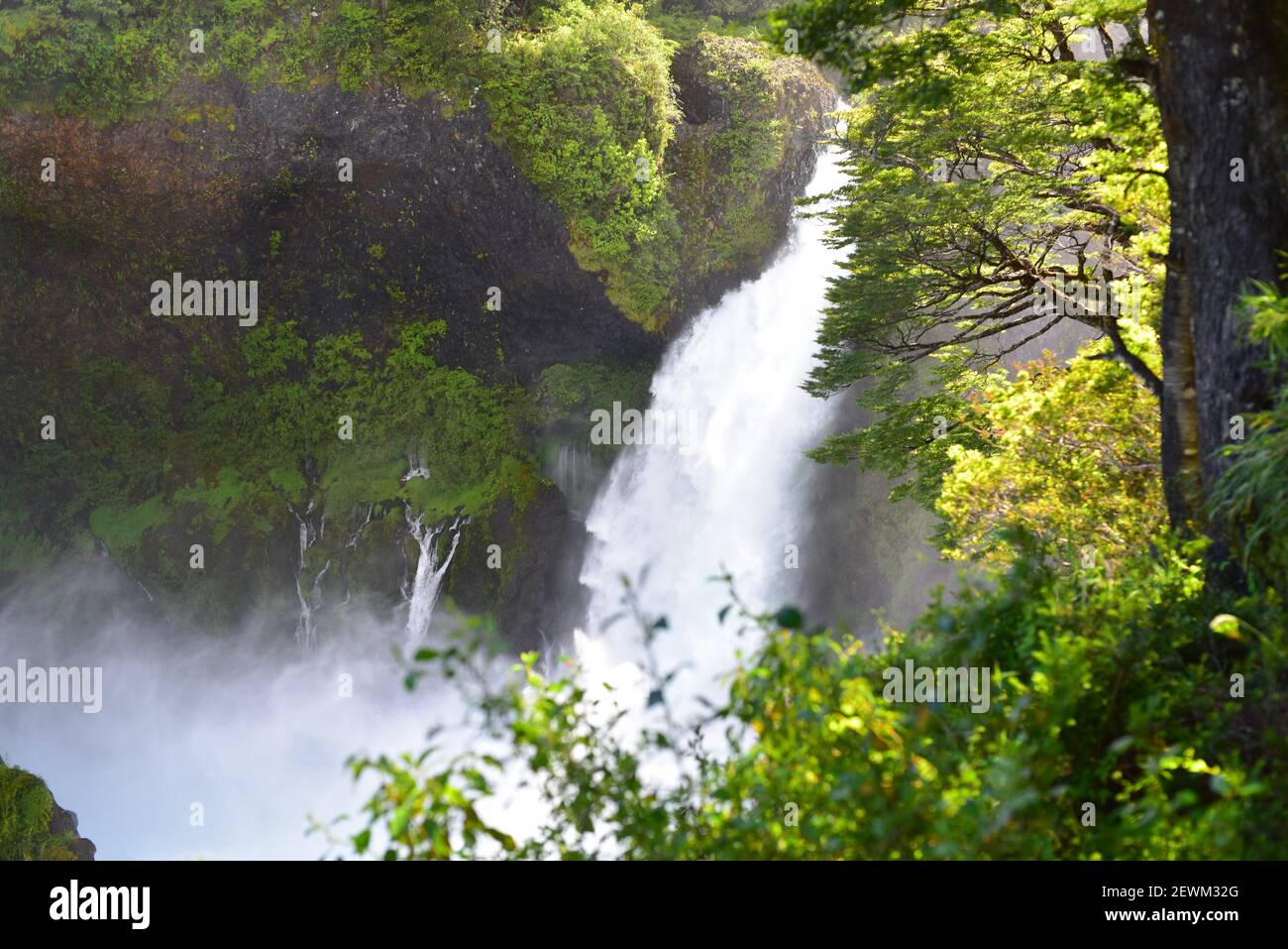 Los rios region hi-res stock photography and images - Alamy