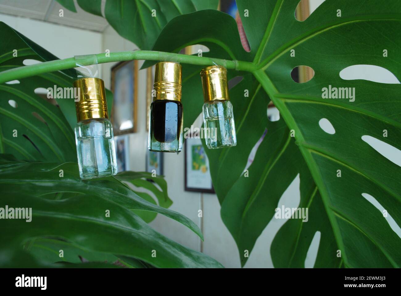 man made and nature contrast concept,scent bottles hanging with ...