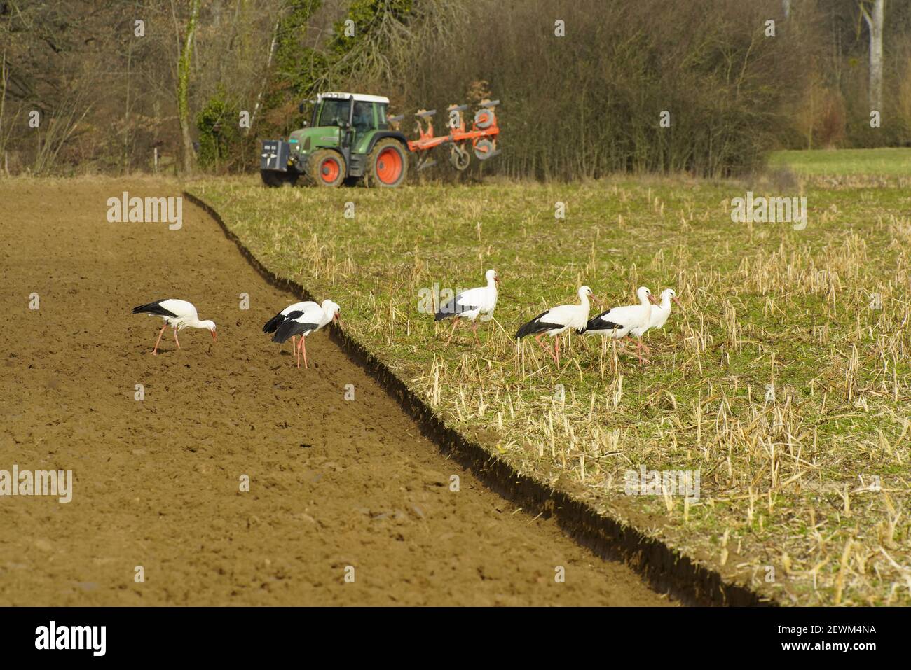 A farmer plows a field with a tractor, this is an opportunity for the ...
