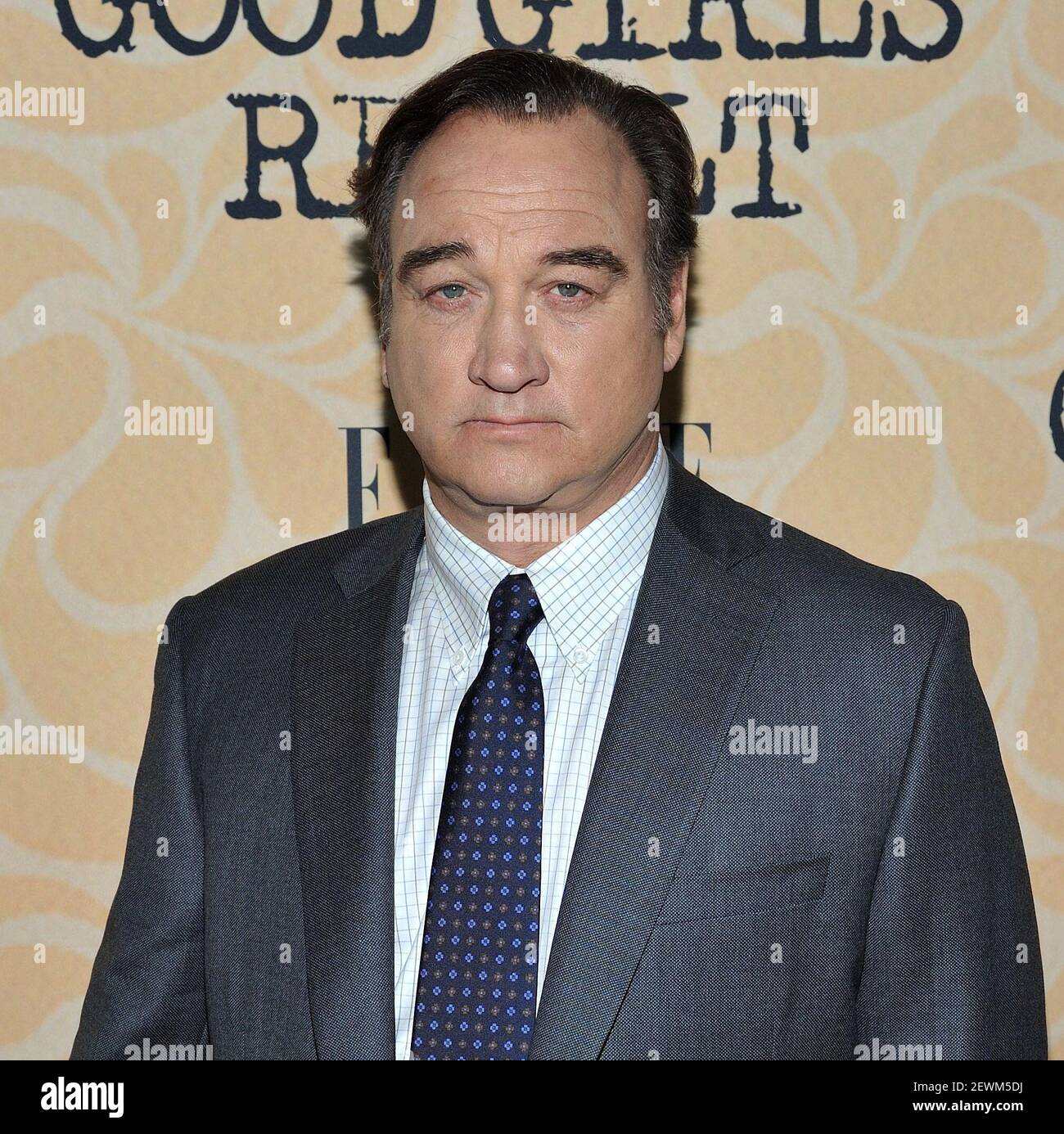 Actor Jim Belushi attends the premiere screening of "Good Girls Revolt ...
