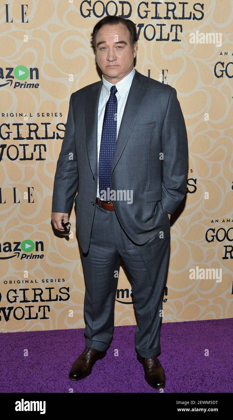 Actor Jim Belushi attends the premiere screening of "Good Girls Revolt ...