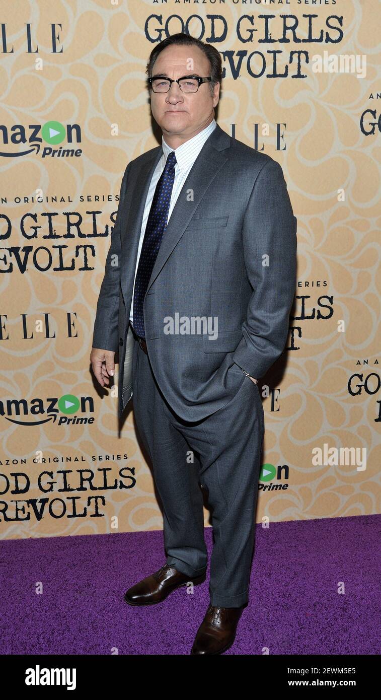 Actor Jim Belushi Attends The Premiere Screening Of Good Girls Revolt