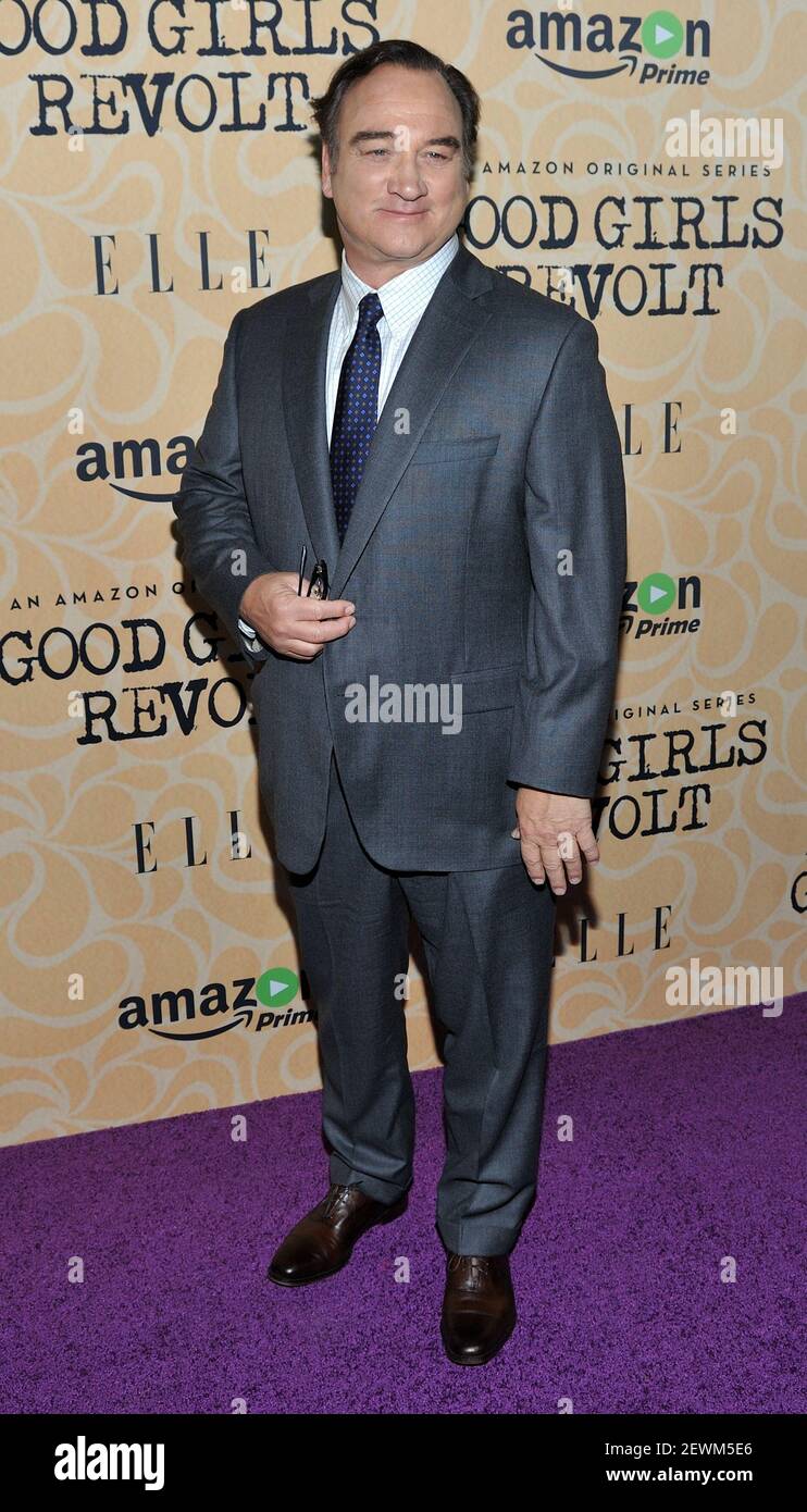 Actor Jim Belushi attends the premiere screening of "Good Girls Revolt ...