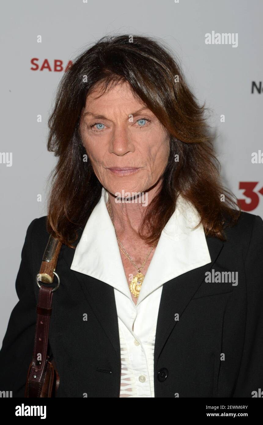 Meg foster 31 High Resolution Stock Photography and Images - Alamy