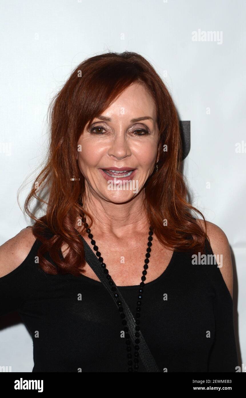 Jacklyn Zeman at the Hollywood Walk of Fame Honors at the Taglyan ...