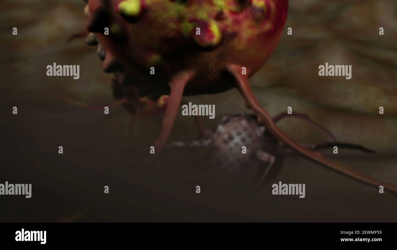 3D illustration - Concept of Cancer Cell in human body Stock Photo - Alamy