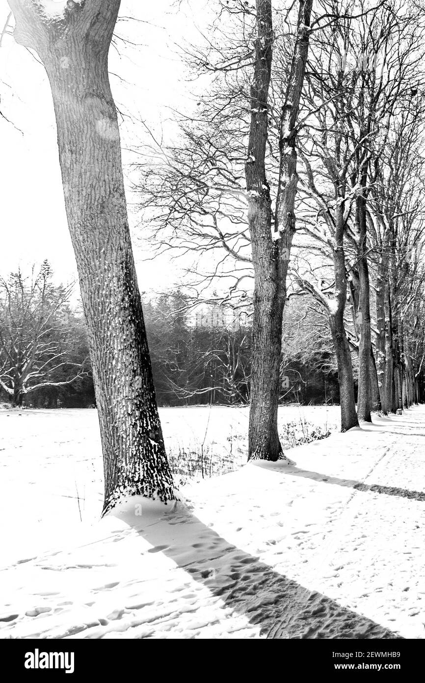 Freezing cold but sunny winter day Black and White Stock Photos ...