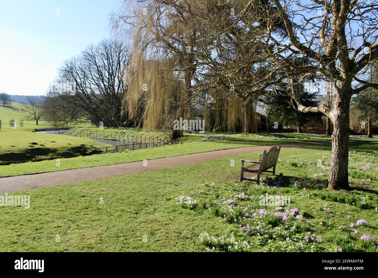 Spring bulb display at West Dean Gardens Stock Photo - Alamy