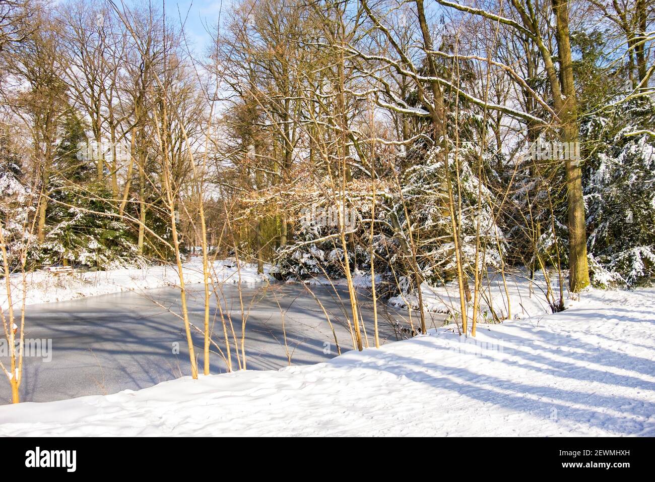Dutch winter landscape with frozen pond and snow, The Netherlands ...