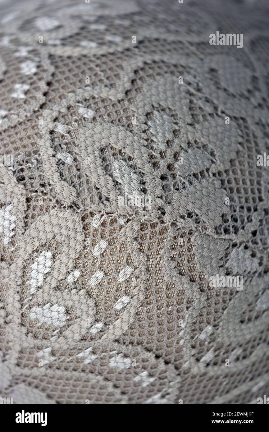Beautiful gentle female brown lace fabric with flowers and patterns ...
