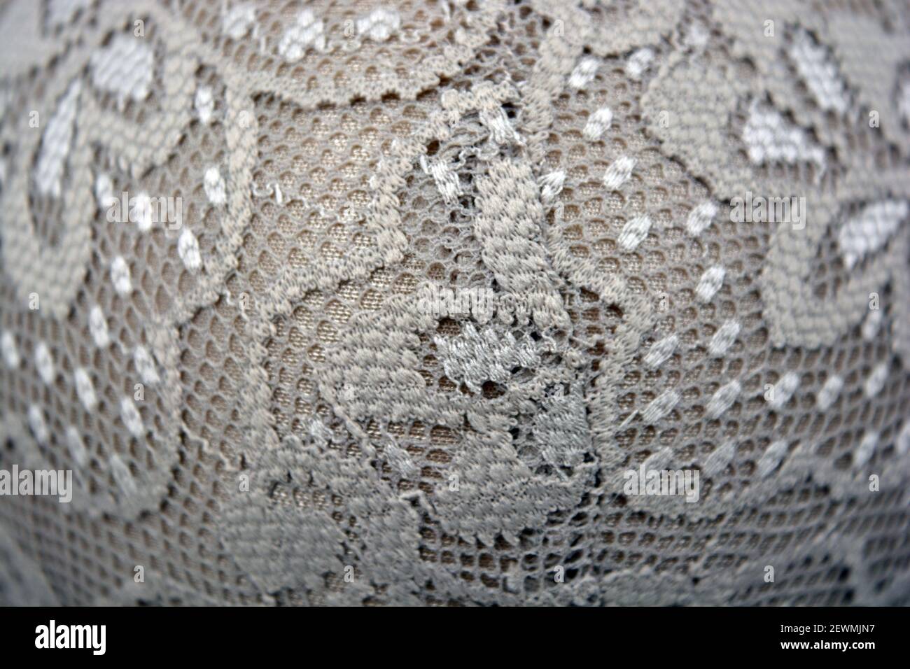 Beautiful gentle female brown lace fabric with flowers and patterns ...