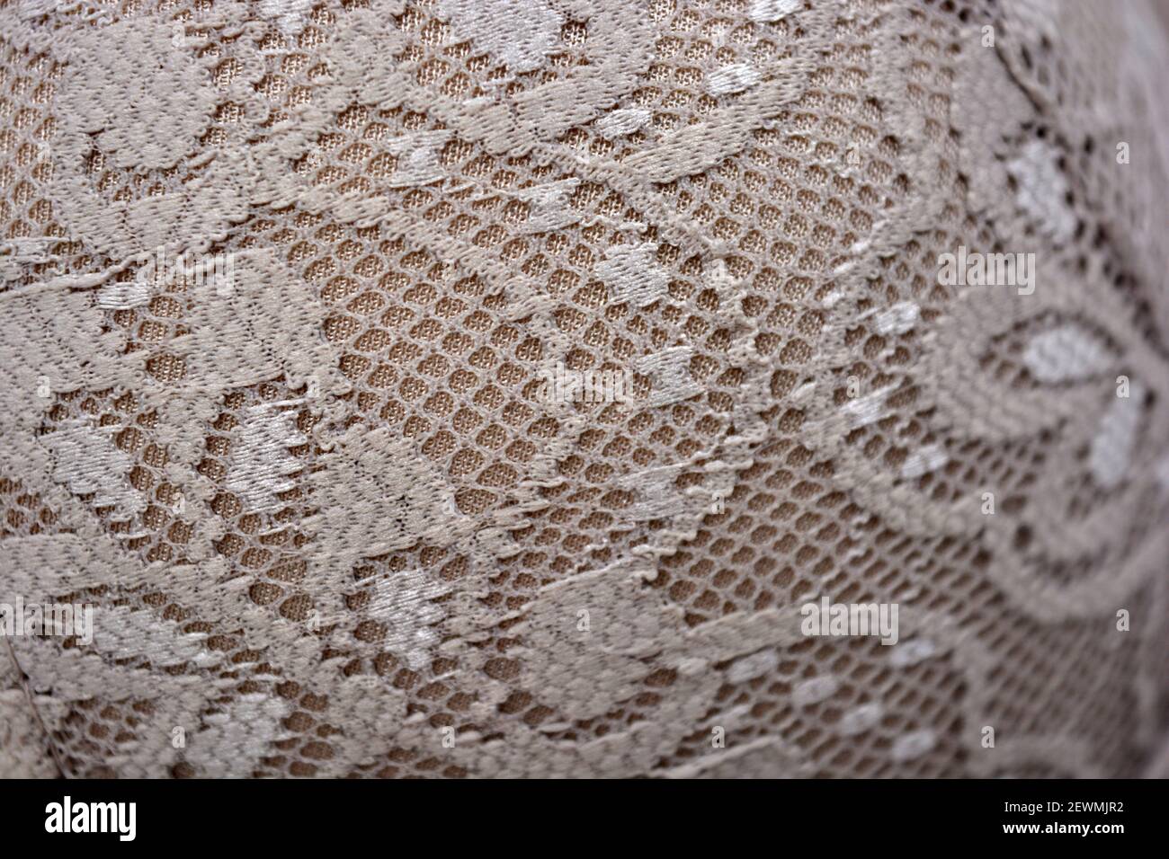Beautiful gentle female brown lace fabric with flowers and patterns ...