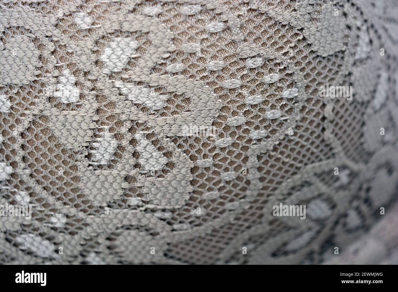 Beautiful gentle female brown lace fabric with flowers and patterns ...