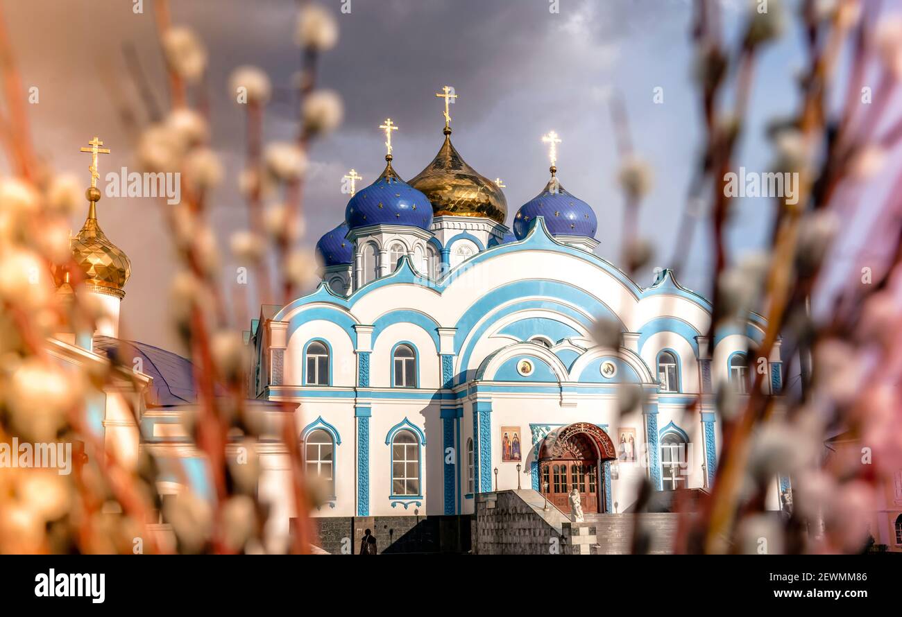 orthodox Christian cathedral of blue color through willow branches ...