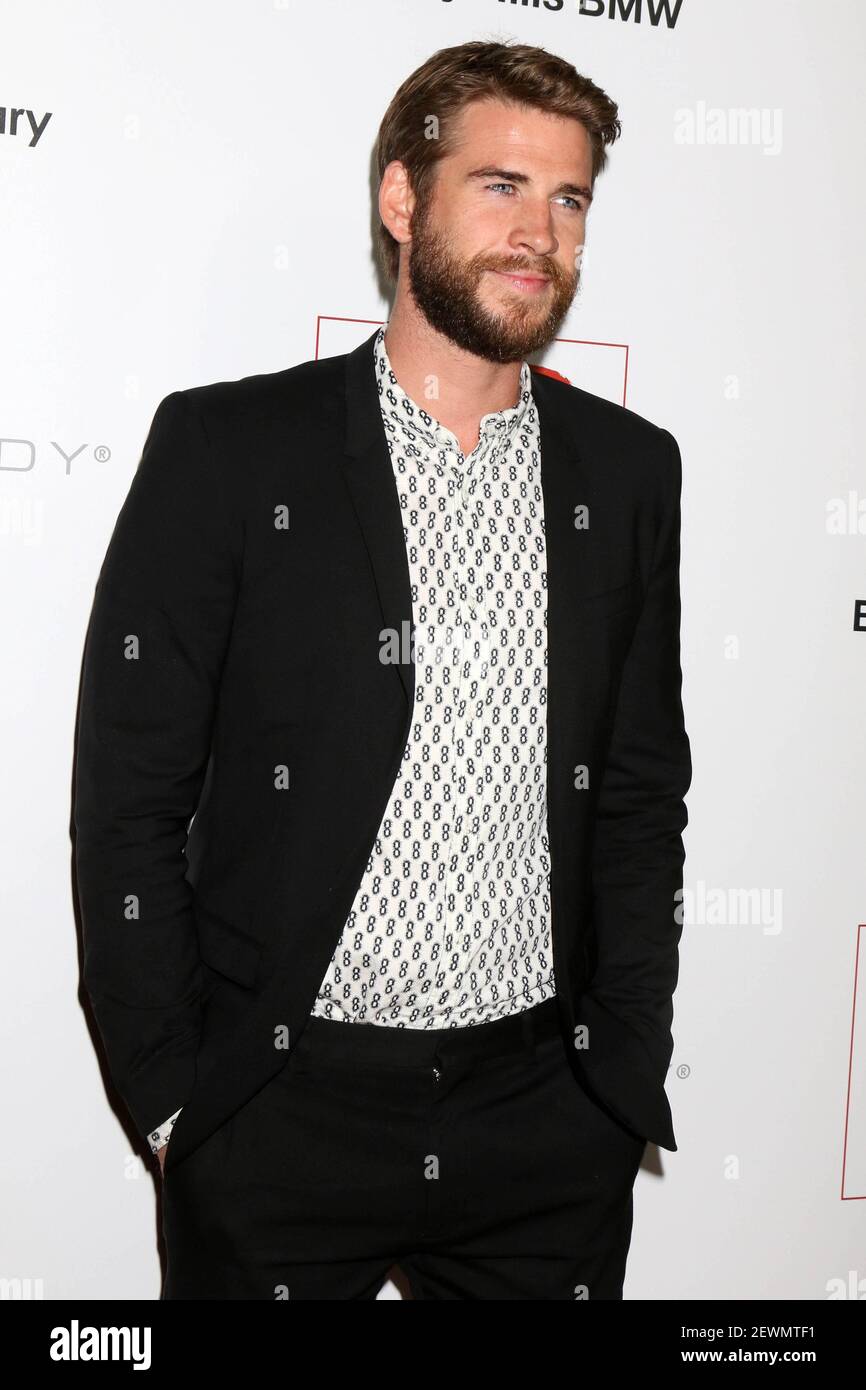 Liam Hemsworth at the 10th Anniversary Celebration of Go Campaign at ...