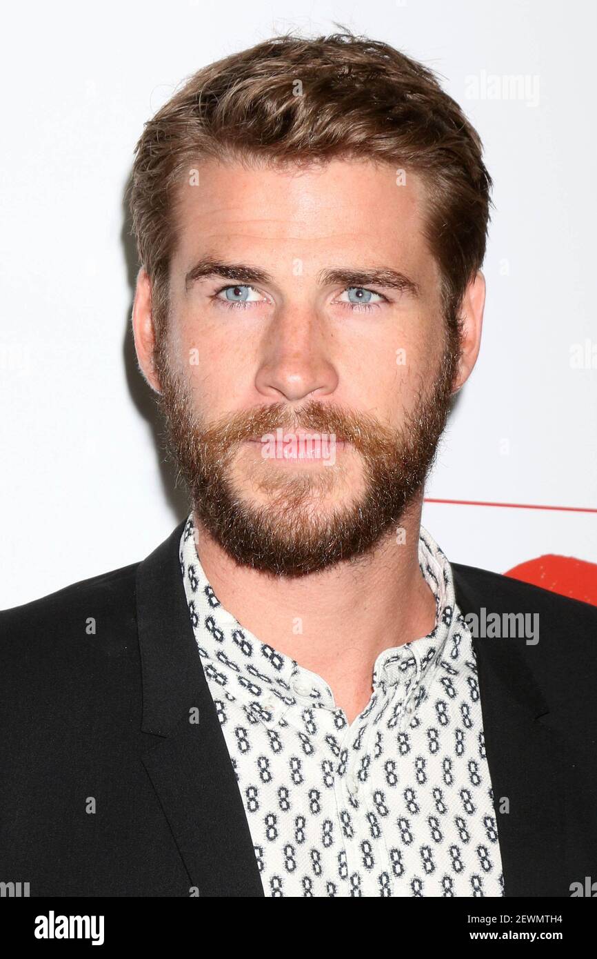 Liam Hemsworth at the 10th Anniversary Celebration of Go Campaign at ...