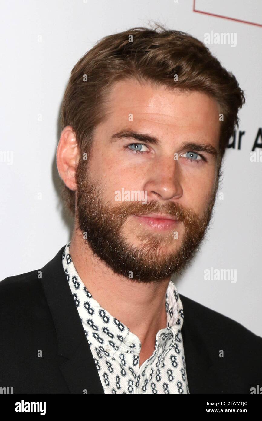 Liam Hemsworth at the 10th Anniversary Celebration of Go Campaign at ...