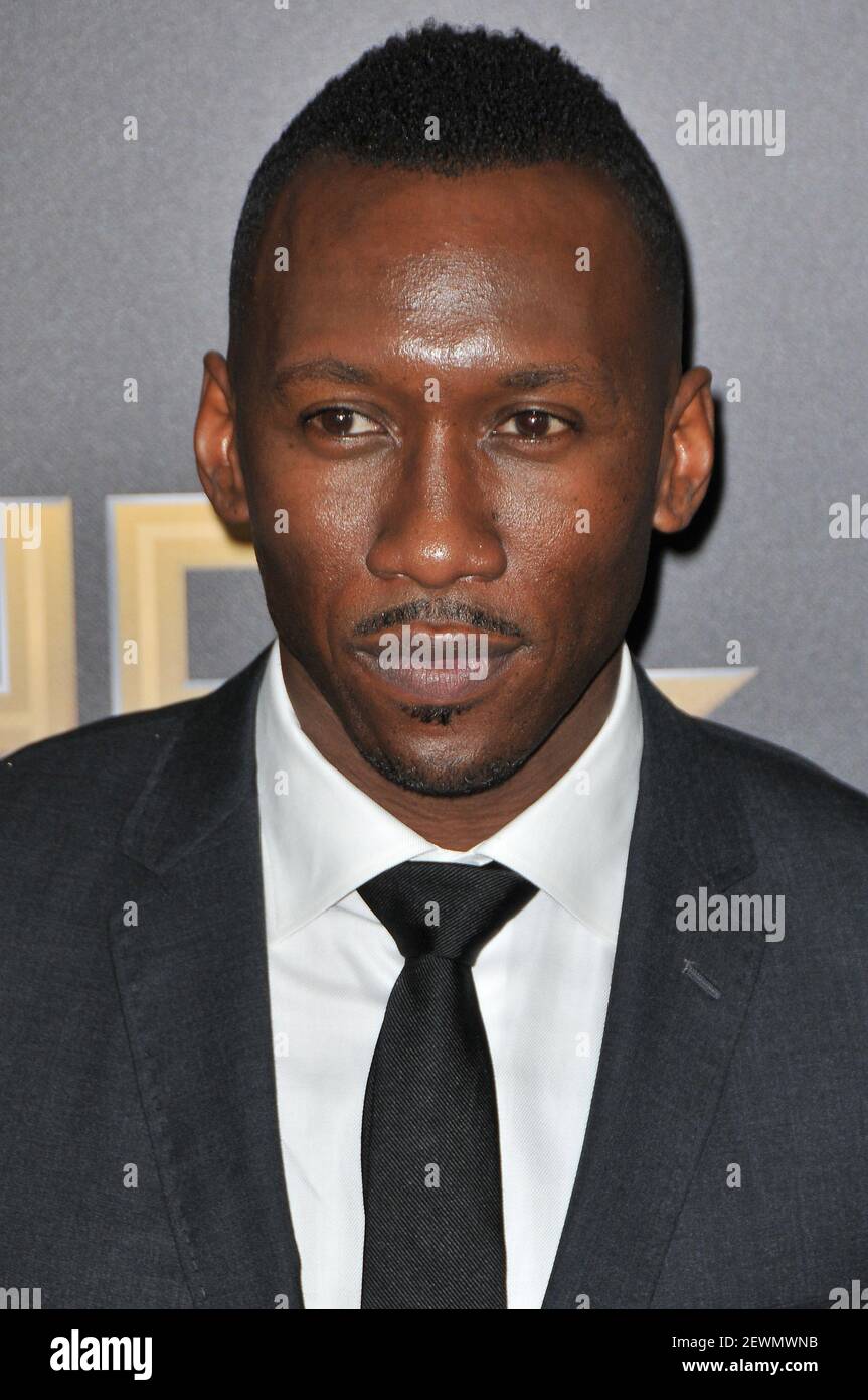 Mahershala Ali arrives at the 20th Annual Hollywood Film Awards held at ...