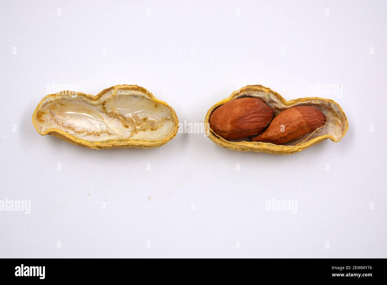 Shell bun hi-res stock photography and images - Alamy