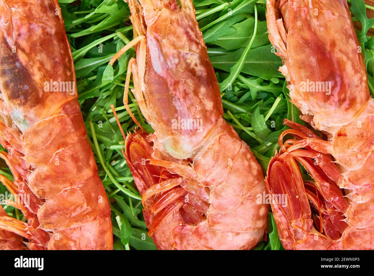 Fresh shrimps with rucola. Red raw prawns, close up. Seafood background ...
