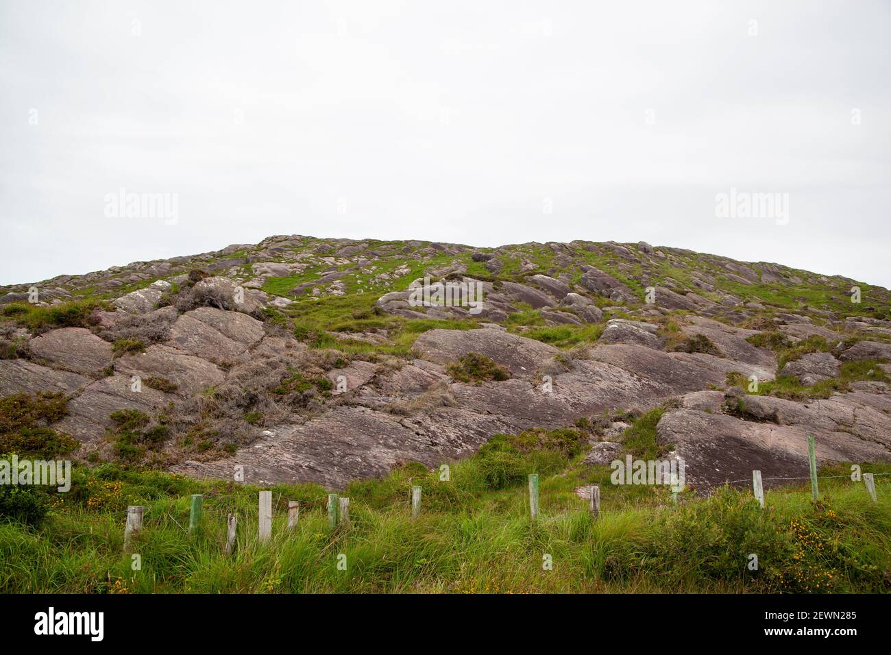 Hill overgrown hi-res stock photography and images - Alamy