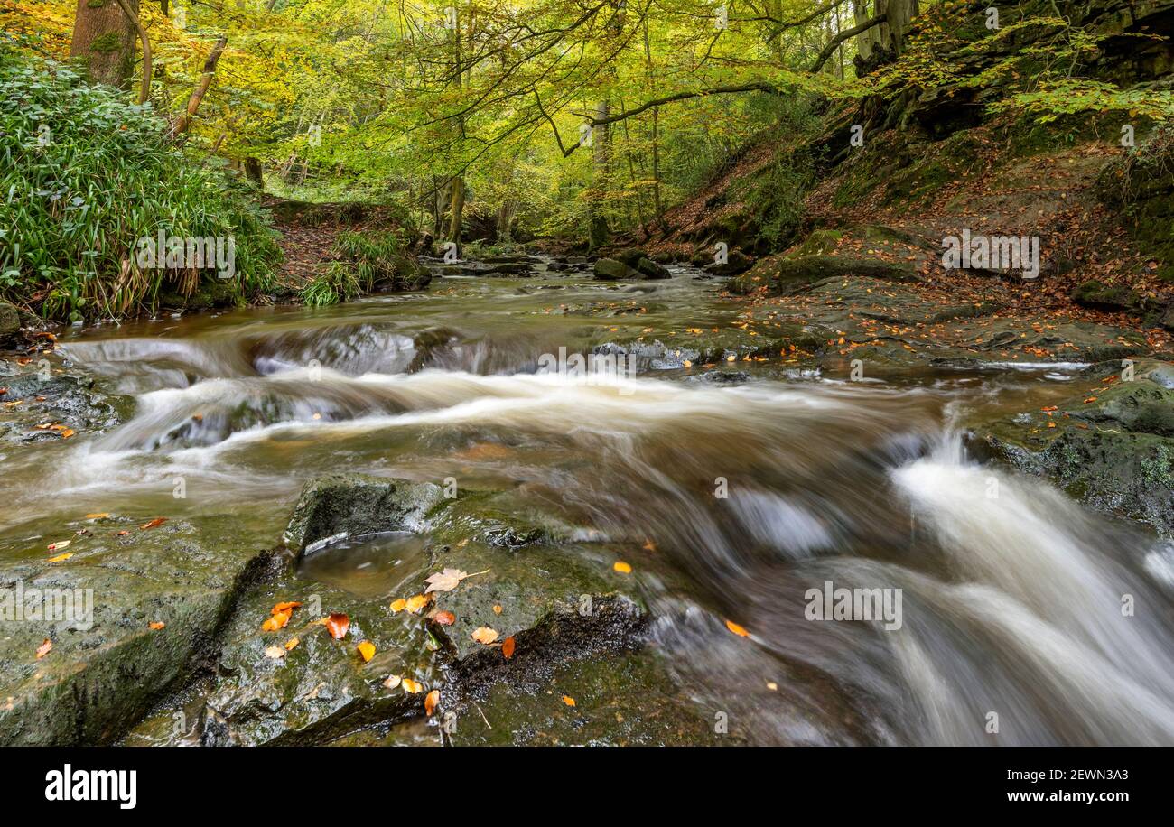 May waterfall hi-res stock photography and images - Alamy
