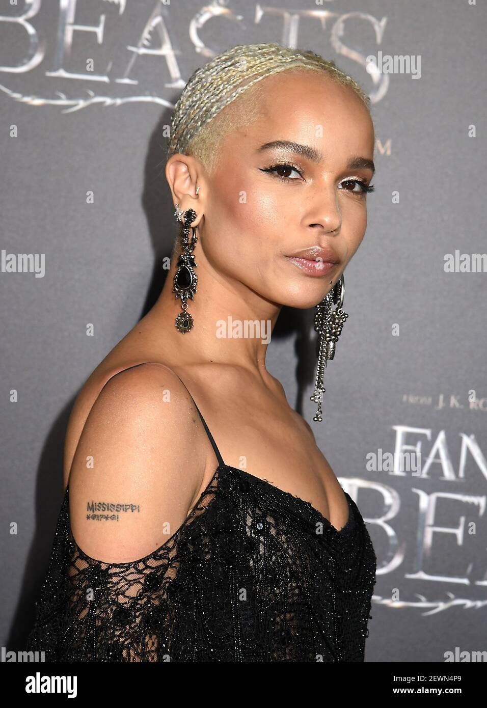 Zoe Kravitz attends the "Fantastic Beasts and Where to Find Them" World ...