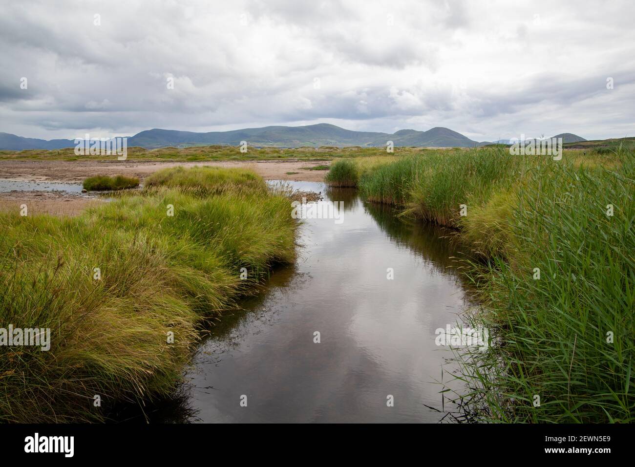 Water and grass on Ballinskelligs Beach Stock Photo - Alamy