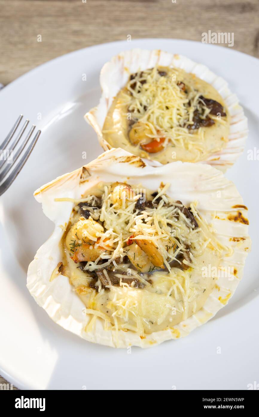 cooked scallop shell Stock Photo - Alamy