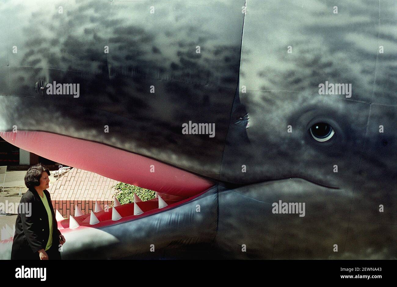 ANTI WHALING PROTEST OUTSIDE THE MEETING IN HAMMERSMITH Stock Photo - Alamy