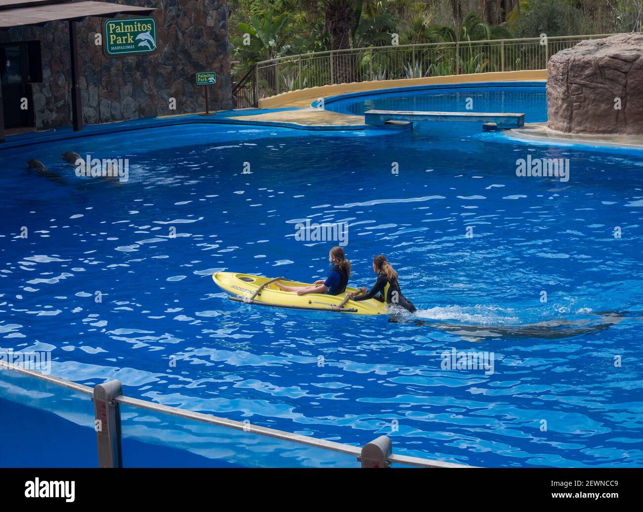Gran canaria palmitos park dolphin hi-res stock photography and images ...