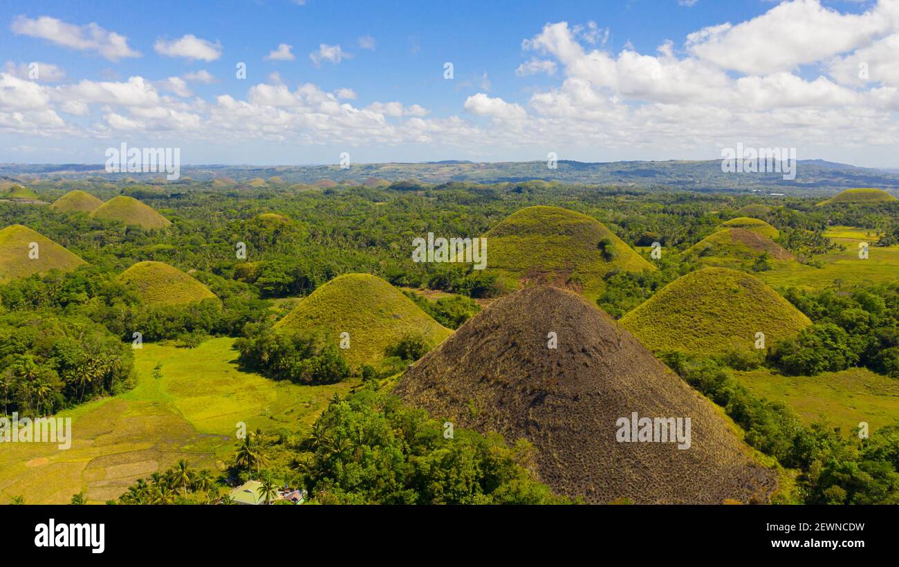 Chocolate Hills - one of the main attractions of the island of Bohol ...