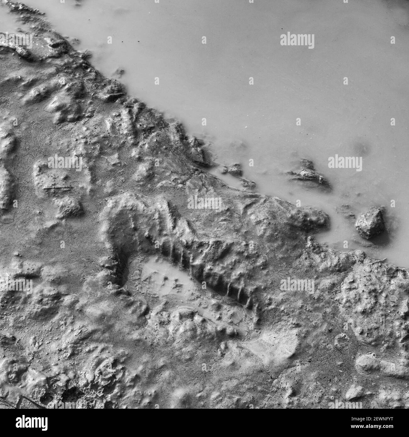 Black and white indistinct muddy primordial gloop & partial foot shape ...