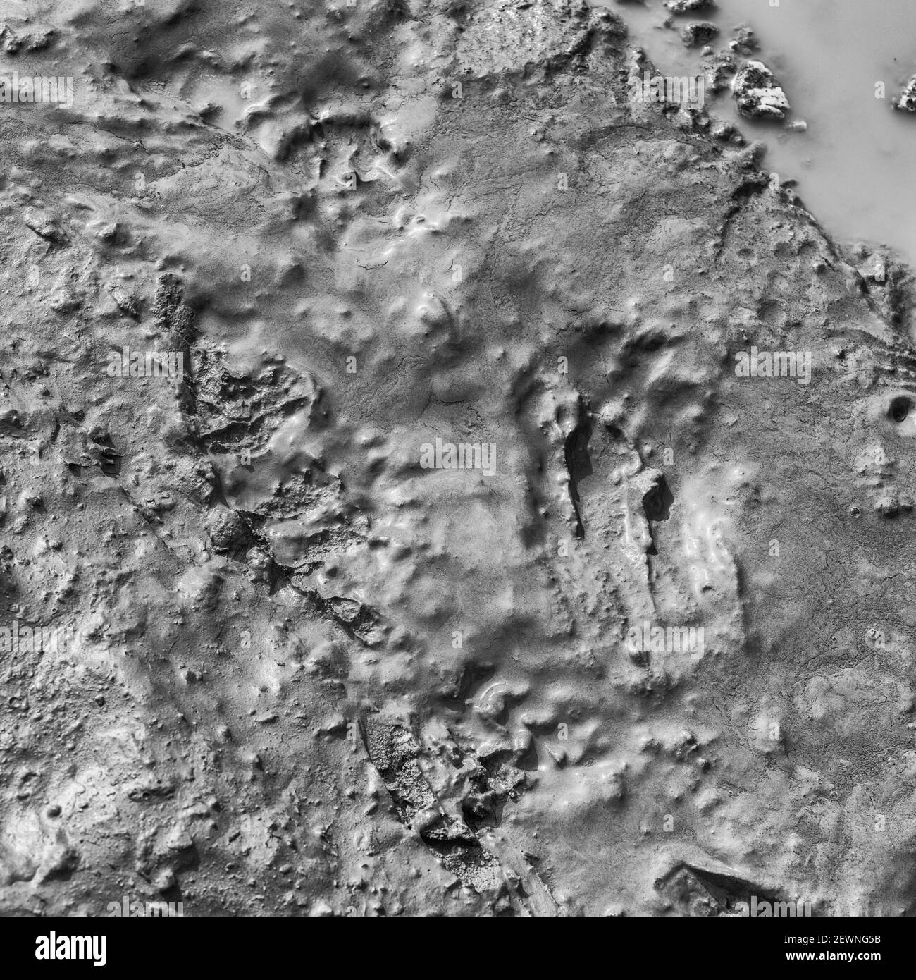 Black and white indistinct muddy primordial gloop & partial foot shape ...