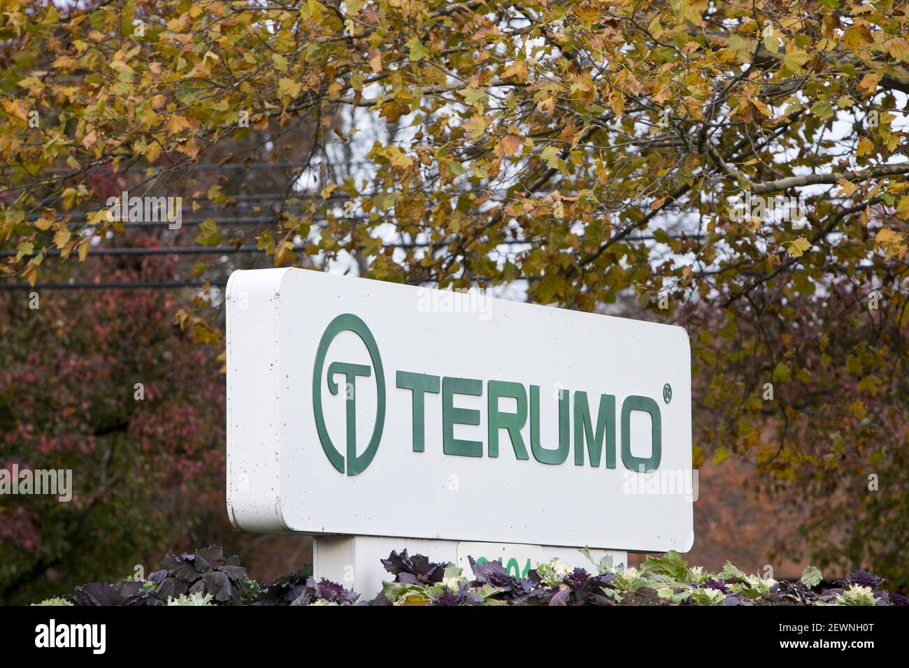 A logo sign outside of a facility occupied by the Terumo Corporation in ...