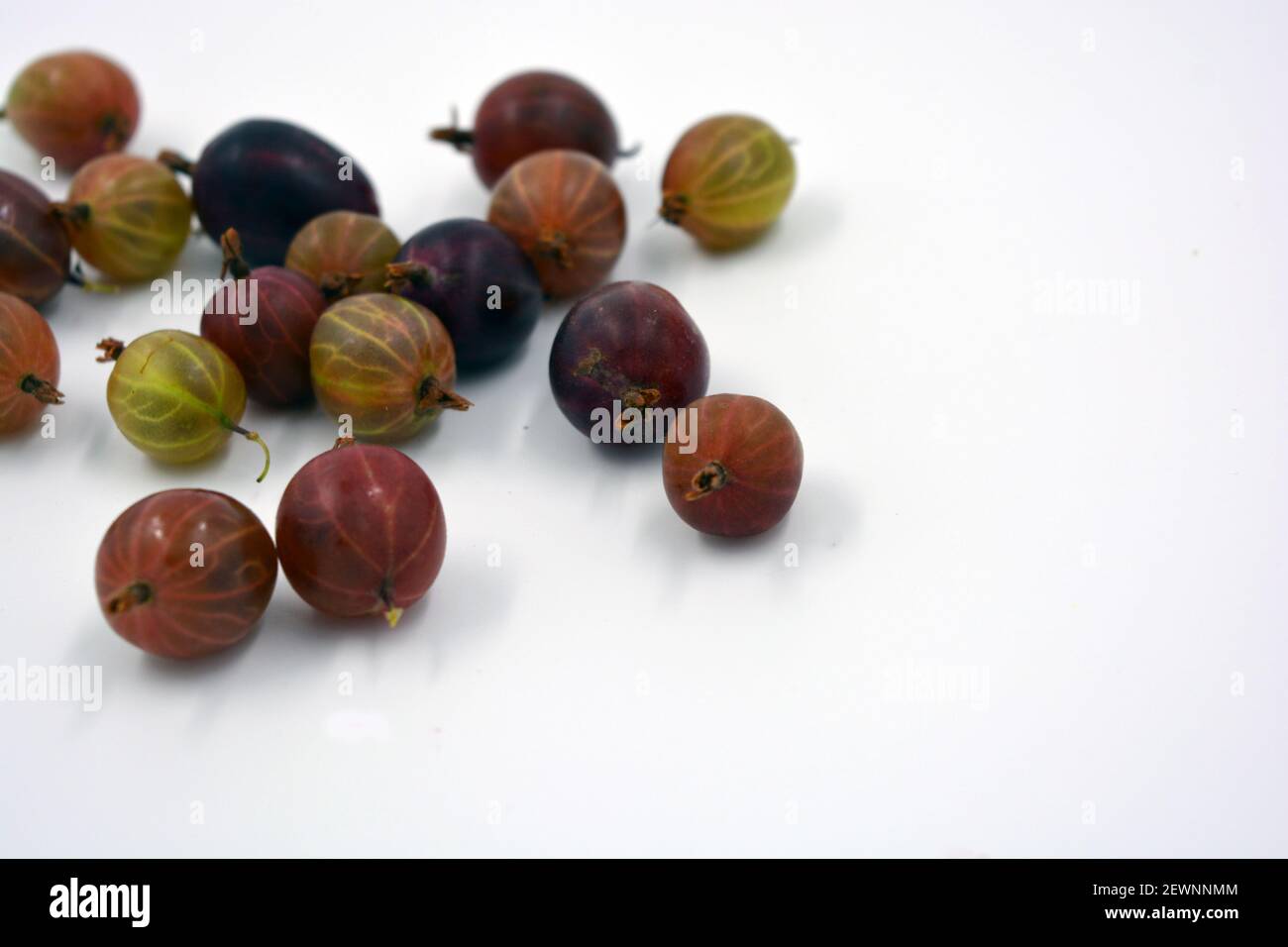 Tick berry hi-res stock photography and images - Alamy