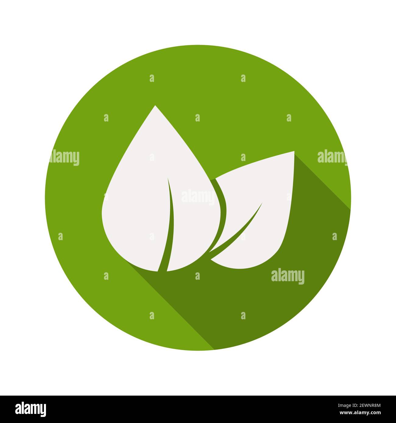Flat leaf icon vector in green circle isolated on white background ...