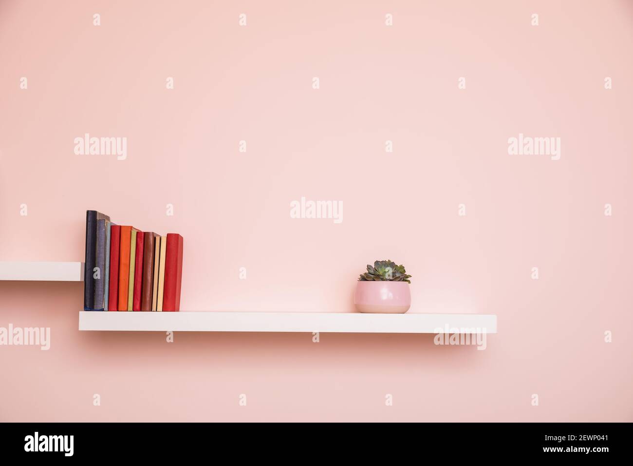Simple white shelves on pale pink colored wall with books and succulent ...
