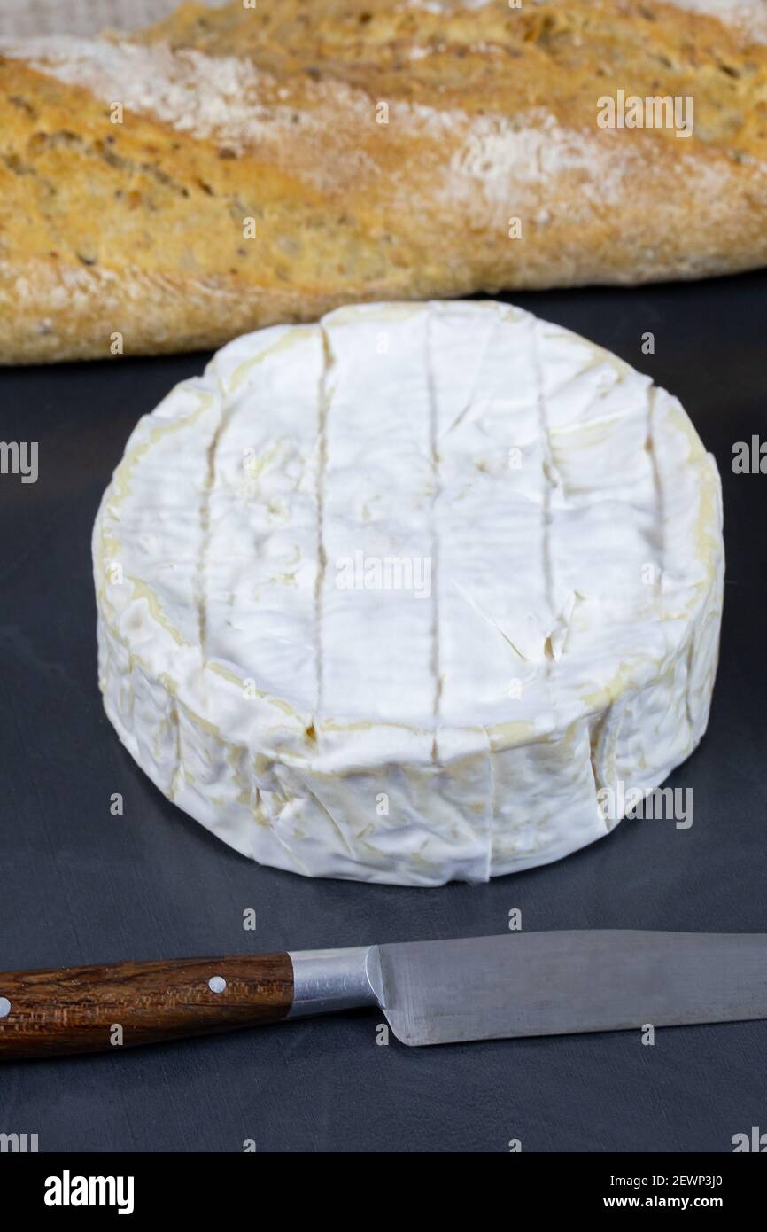 Camembert cheese symbol hi-res stock photography and images - Alamy