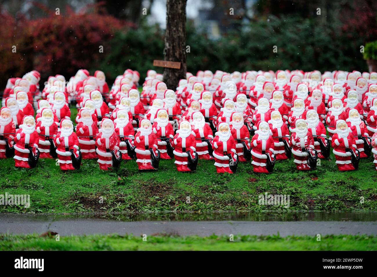 A festive display known as 'The Santa Clones' by artist Chris Willis is ...