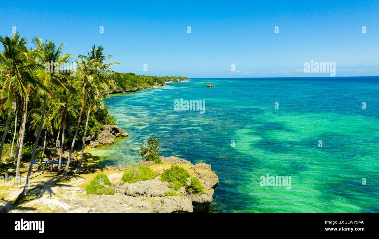 Beautiful tropical beach with white sand, palm trees, turquoise ocean ...